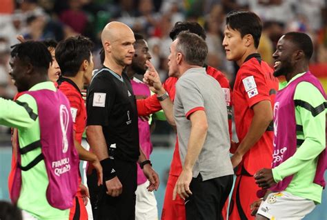 월드컵 벤투 퇴장시킨 심판 벨기에 크로아티아전도 일찍 종료 휘슬 파이낸셜뉴스