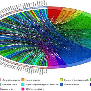 Hierarchical Clustering Heatmap Of 139 DEGs Screened On The Basis Of