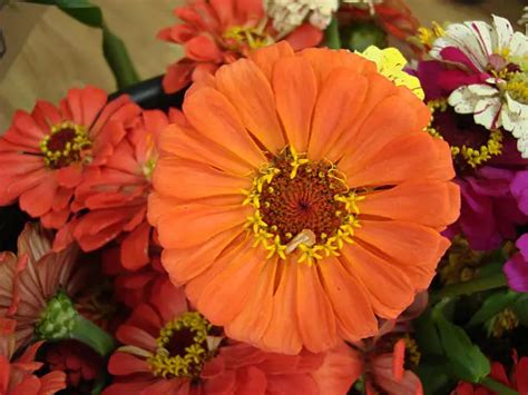 Understanding Kerberos And Managing Authentication And Encryption On