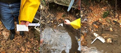 53 Water Tracing Tests Introduction To Karst Aquifers