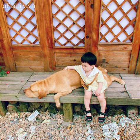 Khoe ảnh con trai đi đâu cũng có 1 người bạn đồng hành mẹ 9x khiến dân tình rụng tim