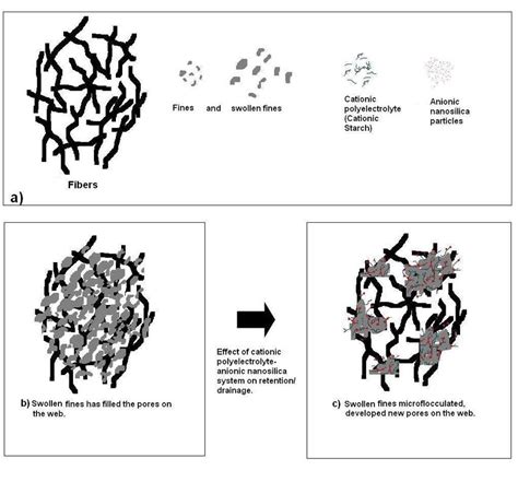 Schematic Representation Of Cationic Polyelectrolyte Fine Particles