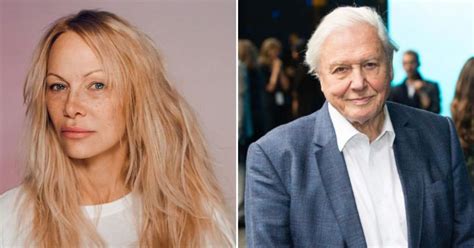 Pamela Anderson Launches EarthDay Birdwatching Channel Inspired By Sir David Attenborough S