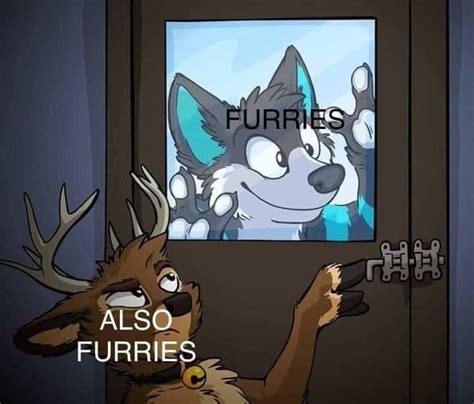 Two Types Furries Know Your Meme