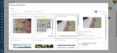 This Is Huge Aspires American Elm Release Aspire