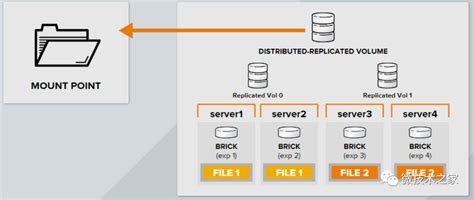 Linux Mount命令详解 Csdn博客