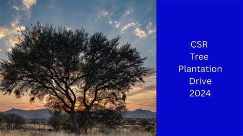 Soumyaranjan Behera On Linkedin Thank You Slb Pune Csr Team For Arranging This Tree Plantation