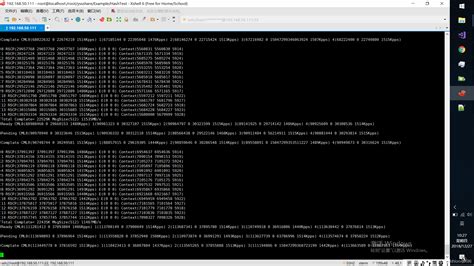 国产cpu 申威1621 异数os基础组件理论性能测试报告 csdn博客
