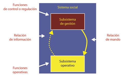 Cómo Estudiar La Teoría Sociológica De Forma Efectiva