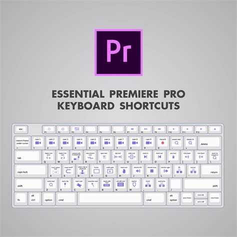2017 Adobe Premiere Pro Keyboard Shortcuts Cheat Sheet Make A Website