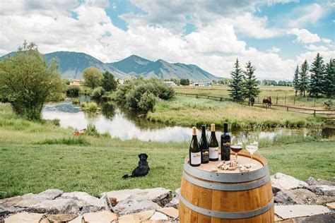 21 Best Things To Do In Jackson Hole — Including National Parks Hot