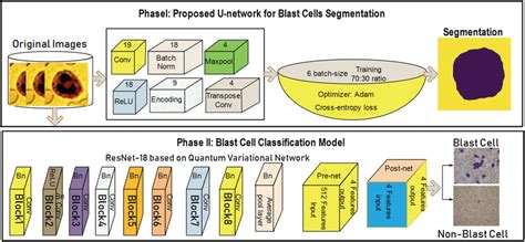 The Proposed Method For Lymphoblastic Leukaemia Detection Download Scientific Diagram