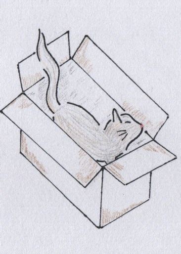 Cat In A Box Drawing