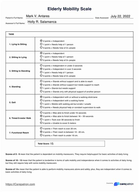 Elderly Mobility Scale And Example Free Pdf Download
