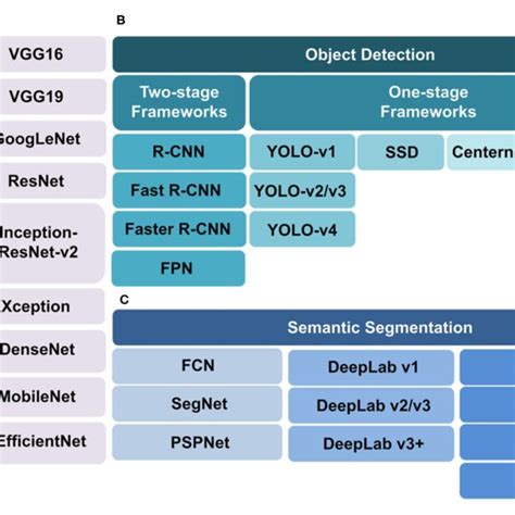 Algorithms Of Cnn Backbone Object Detection And Semantic Download Scientific Diagram
