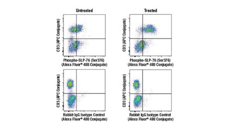 How To Capture T Cell Events Faster Cell Signaling Technology Cst