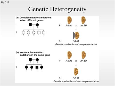 Ppt Co 03 Powerpoint Presentation Free Download Id166299