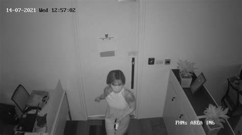 Dataset Object Detection Dataset By Hop Khoa