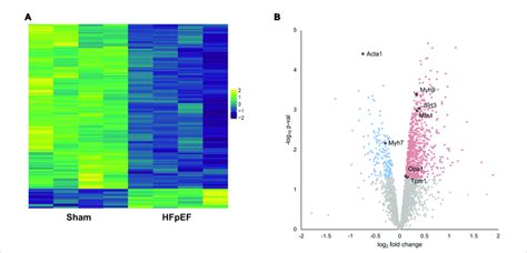 Proteomics Analysis A Heatmap Of The Differentially Expressed Download Scientific Diagram