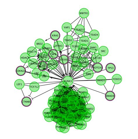 Module 4 Lab Reactomefi Pathway And Network Analysis Of Omics Data June 2023