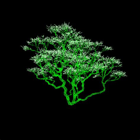 Procedural Trees Rproceduralgeneration