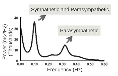 1 Spectral Analysis Of Hrv Download Scientific Diagram
