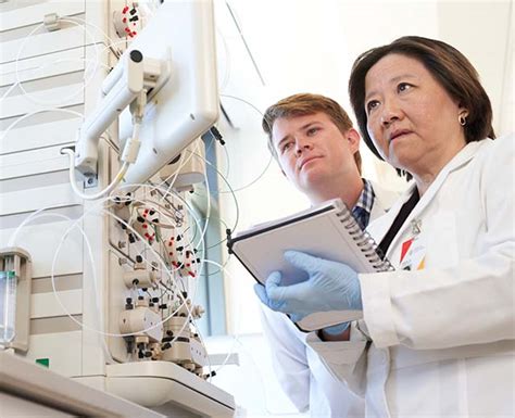 What Is Bioinformatics And What Can You Do With It Umgc