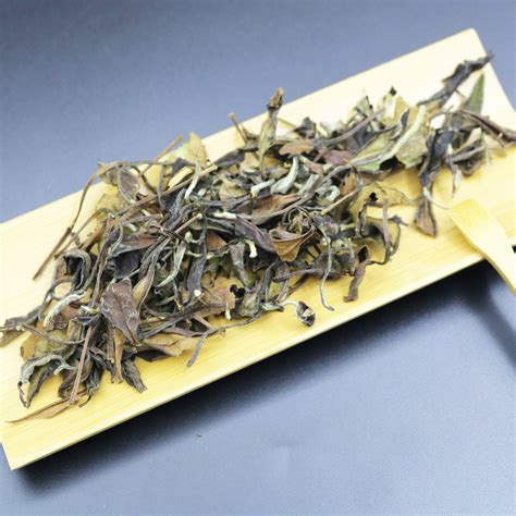 福鼎白茶高山老白茶福鼎老白茶大山谷图库
