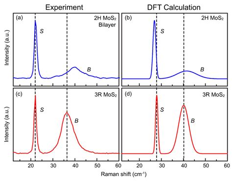Measured A C And Calculated B D Raman Spectra Of The Interlayer Download Scientific