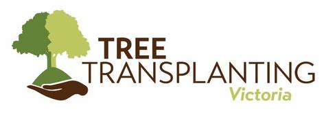 Tree Transplanting Victoria Tree Transplanting Service