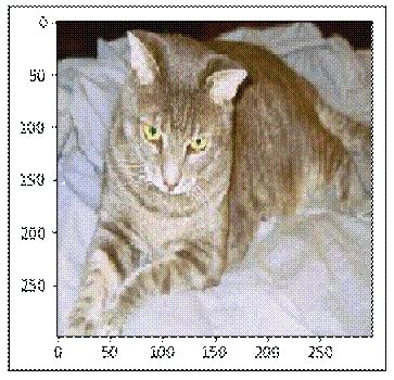 Object Detection VS Object Classification Tpoint Tech