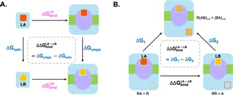 Ligand Binding Affinity Prediction For Membrane Proteins With Alchemical Free Energy Calculation