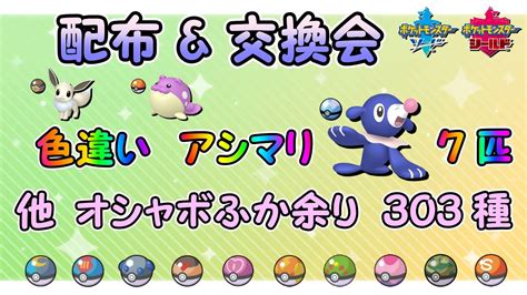 【土曜21時～】色違いアシマリ 配布 ＆ 選べるオシャボ孵化余り 交換会【ポケモン剣盾】 Youtube