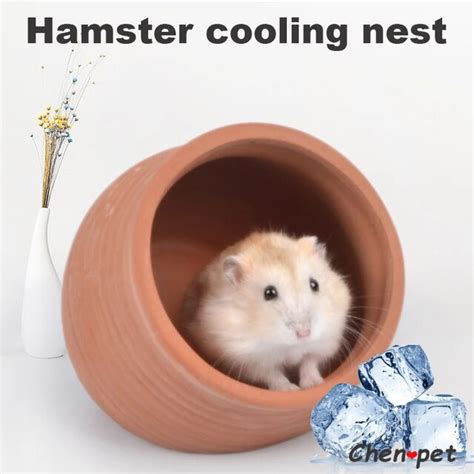 Roborovski Hamster Cages