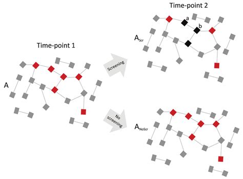 Diagram Showing How High Network Connectivity Combined With Excess