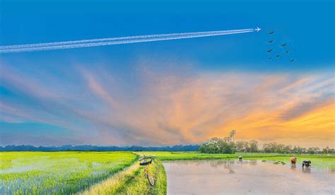 자전거에는 석양의 추상 실루엣은 흙 제방 잔디도로 농부 사례 고 대 방법 농장 녹색 쌀 논 태국에서 아름 다운 하늘 구름 건강관리와 의술에 대한 스톡 사진 및 기타 이미지