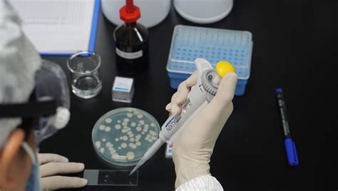 Leading Probiotics Api Manufacturer Huro Biotech