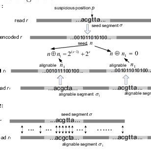 Two Stage Alignment Method Download Scientific Diagram