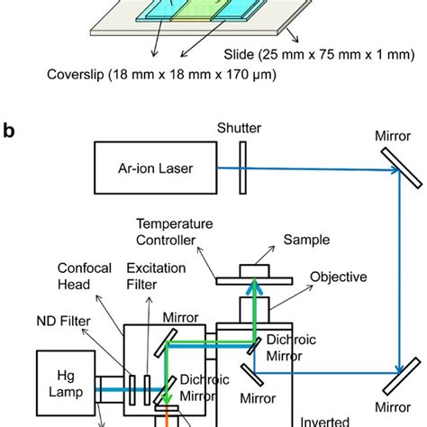 A Schematic Of Sample Chamber Made Of A Slide And Coverslips B Download Scientific Diagram