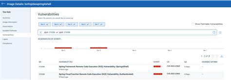 Spring Framework Zero Day Remote Code Execution Spring4shell