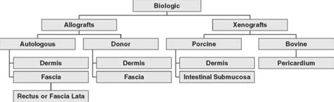 The Use Of Biologic Tissue And Synthetic Mesh In Urogynecology And Reconstructive Pelvic Surgery