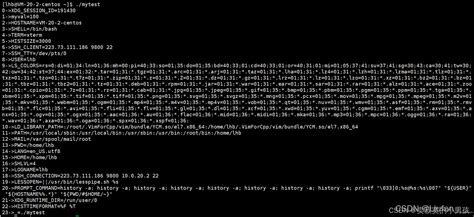 Linux进程管理 进程优先级,环境变量与命令行参数linux Top 修改进程优先级 Csdn博客 Linux进程管理 进程优先级,环境变量与命令行参数linux Top 修改进程优先级 Csdn博客