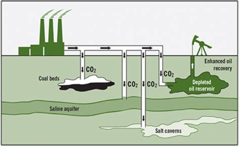Carbon Storage Definition And Comments 2b1st Consulting