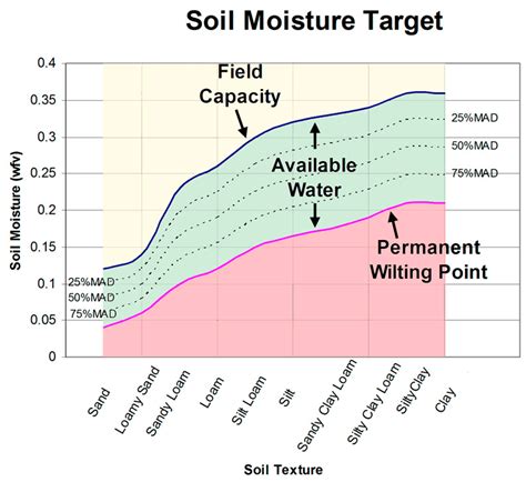 Soil Moisture Testing Methods And Tools To Measure