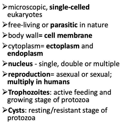 Microbiology Lecture 19 Characterizing And Classifying Parasites