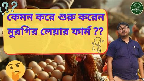 কিভাবে লেয়ার পোল্ট্রি ফার্ম শুরু করবেন মুরগি পালন।chicken Farm। Poultry Farming। Youtube