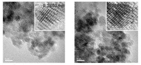 Supported Lithium Doped Cobaltosic Oxide Composite Catalyst And Preparation Method Thereof