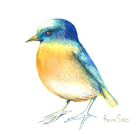 鳥のイラスト イラストレーターさとうれいな