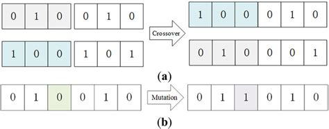 operations on chromosomes a crossover b mutation download