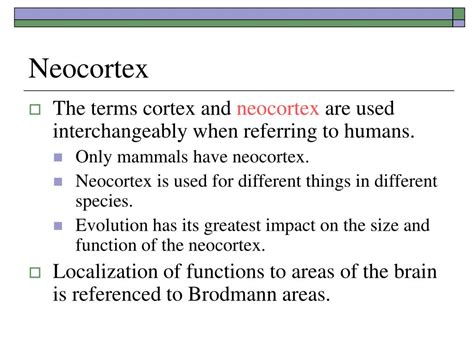 PPT Structure Of The Nervous System PowerPoint Presentation Free Download ID 396665
